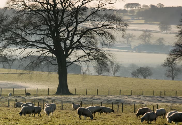 Sean Concannon | Pan Am 103 Lockerbie Legacy Foundation