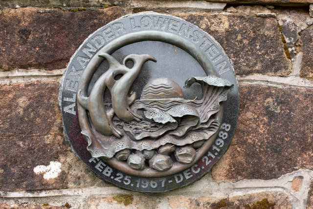 Alexander Lowenstein | Pan Am 103 Lockerbie Legacy Foundation