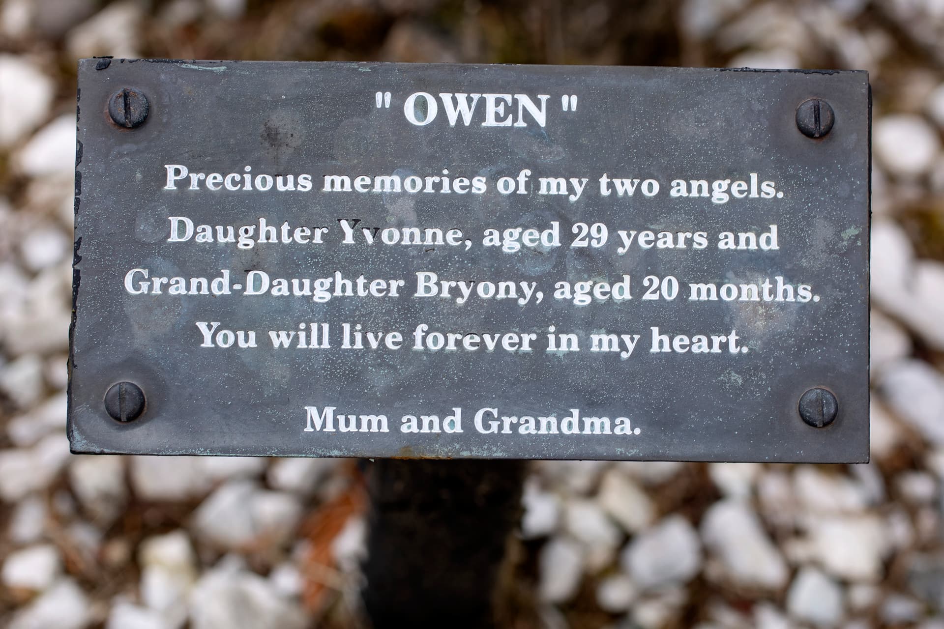 Gwyneth Owen | Pan Am 103 Lockerbie Legacy Foundation